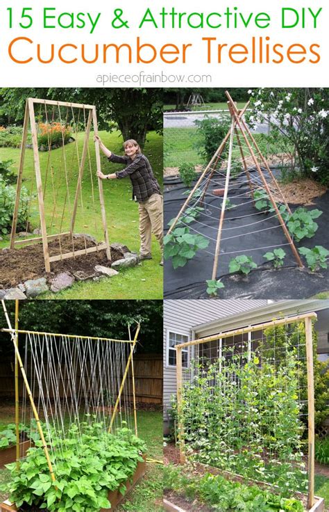 Homemade Garden Trellis Ideas 15 Best Trellis Ideas For A Climbing