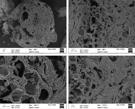 Fesem Micrographs Of Coal Fired Fly Ash Download Scientific Diagram