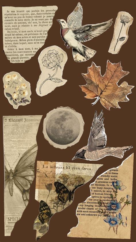 Aesthetic Folder Design