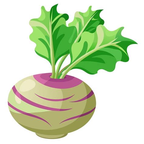 콜라비 클리파트 만화 스타일 터 일러스트레이션 프리미엄 벡터