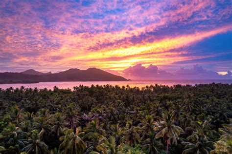 Top Natural Attractions In Fiji Beaches Forests And More