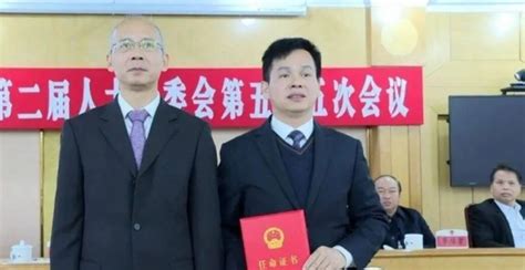 茂名电白区任免2名副区长！腾讯新闻