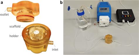 Bioreactor Culture Chamber A The 3d Printed Cc2 Is Composed Of A Top Download Scientific