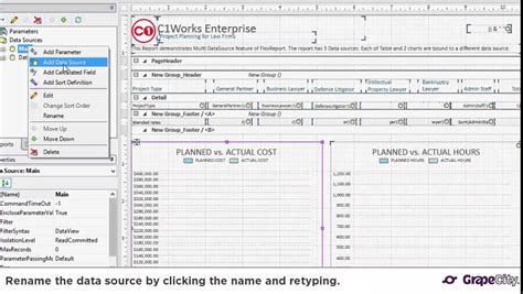 Flexreport Data Binding From Multiple Data Sources Youtube