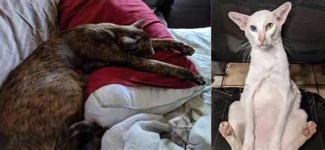 Blog Archive Phini And Scarf Collage