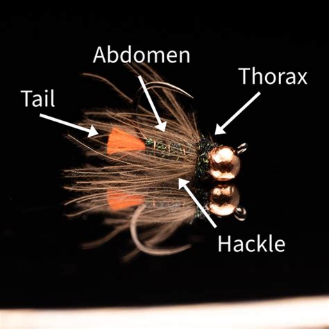 Fly Tying Techniques Essential Methods Tips And Step By Step Tutorials