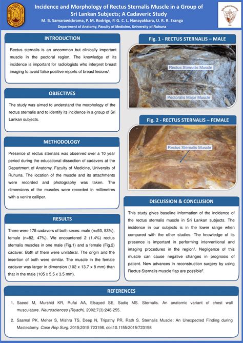Pdf Incidence And Morphology Of Rectus Sternalis Muscle In A Group Of
