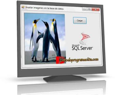 Guardar Imagenes En Sql Server C Digo Detodoprogramacion Org