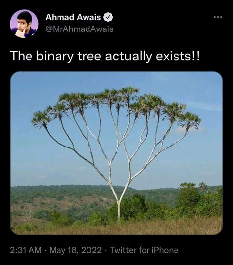 Sagar Nirwal On Linkedin Html Css Javascript 100daysofcode Webdevelopment Programming Dsa