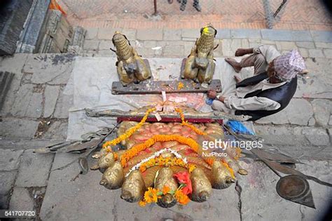 Krishna Malla Photos And Premium High Res Pictures Getty Images