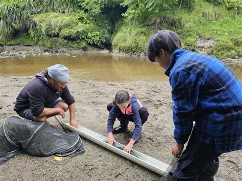 Mauri Compass Te Rūnanga O Ngāti Mutunga