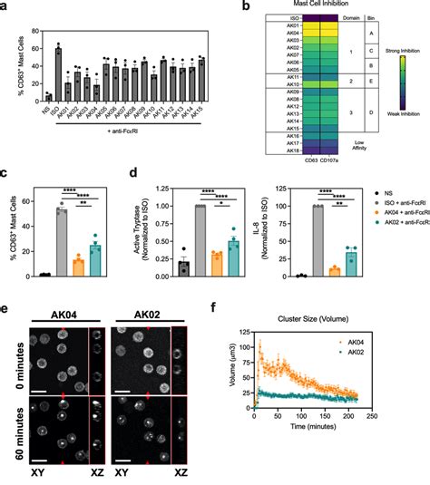 Siglec 6 Mab Mediated Mc Inhibition And Receptor Clustering Is Epitope