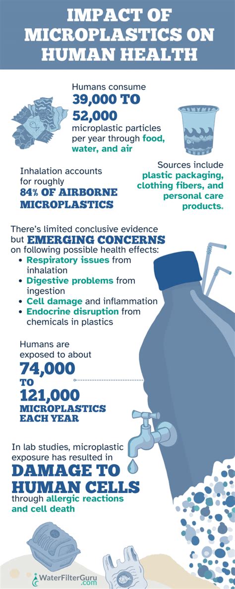 Micro Threats Exploring The Impact Of Microplastics On Human Health