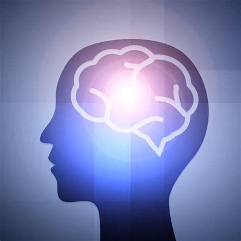 flashcard elite proven memory algorithm for flashcards by sungho lee