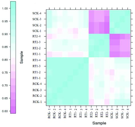 heatmap of transcriptomic data correlation between different