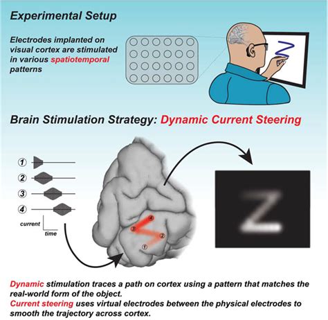 cortical visual prothesis technologies medint