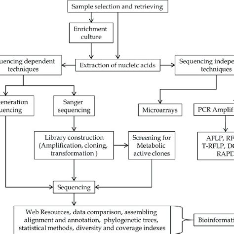 Flowchart Summarizing The Several Steps Of Metagenomic Analysis And