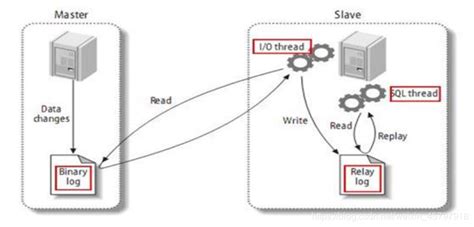 Mysql搭建主从复制(一主一从,双主双从)mysql双主复制 Csdn博客 Mysql搭建主从复制(一主一从,双主双从)mysql双主复制 Csdn博客