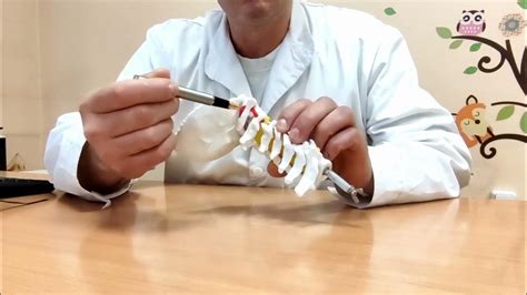 Аномалия Киммерли Разбираем что такое Youtube