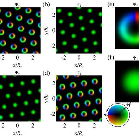 Color Online Chiral Supersolid Induced By Rashba Spin Orbit Coupling Download Scientific