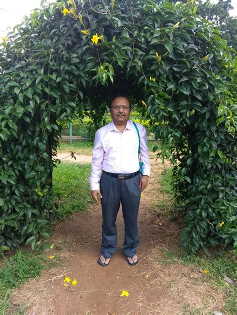 Articles Possible Proof For Euclid S Fifth Postulate 6804116 Pantsuit