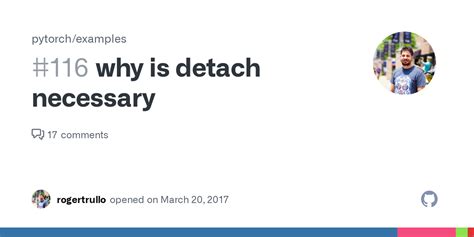 why is detach necessary · issue 116 · pytorch examples · github