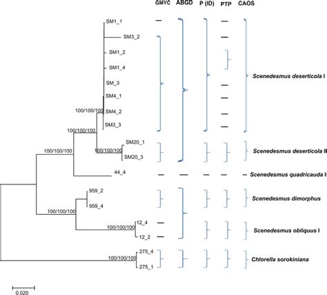Bayesian Phylogenetic Tree For The Rbcl Its 16s Tufa Data The Nj