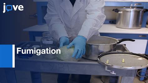 Types Of Fumigation Chemicals At Don Casteel Blog