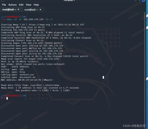 演示nmap工具的常用参数 csdn博客