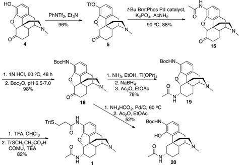 Scheme 4 Scalable Synthesis Of 1 Download Scientific Diagram