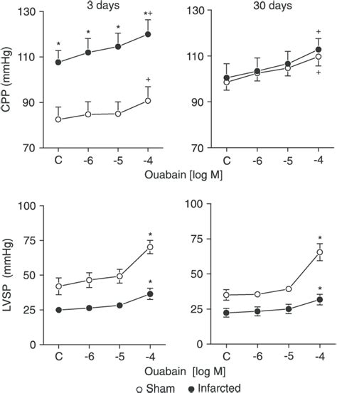 Coronary Perfusion Pressure Cpp And Left Ventricle Isovolumic