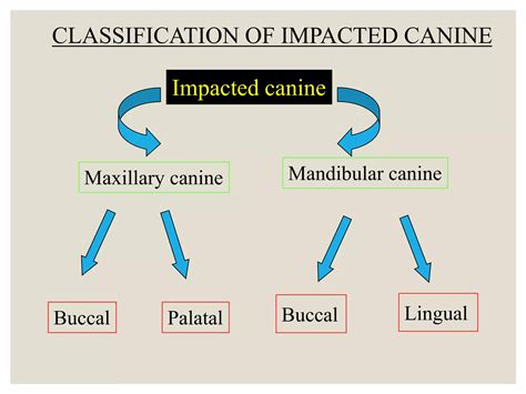 Orthodontic Management Of Impacted Canine Pptx