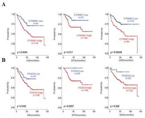 Prognostic Values Survival Analysis Of The Gene Expressions In Crc Download Scientific