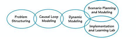 The Systems Thinker Systems Methodology The Systems Thinker