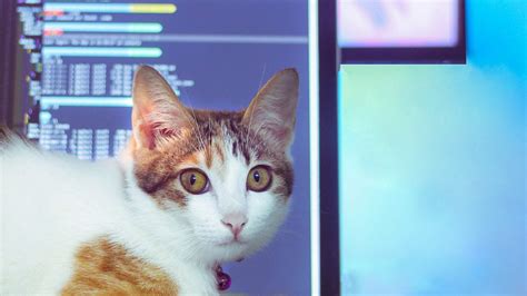 Handle Api Lifecycle With React Axios And Redux Toolkit — Part 2 By