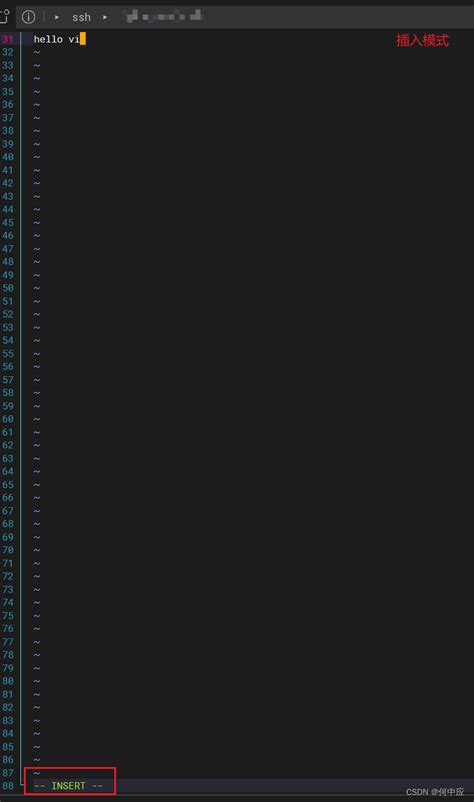 Vi编辑器使用 Csdn博客 Vi编辑器使用 Csdn博客