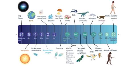 Geologic Time Quiz Answers