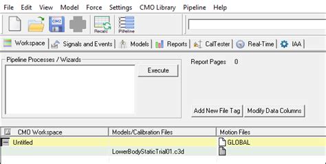 typical processing session [has motion software documentation]