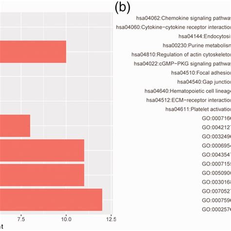 Gene Enrichment Results Of Cluster 1 Genes A And Cluster 2 Genes B