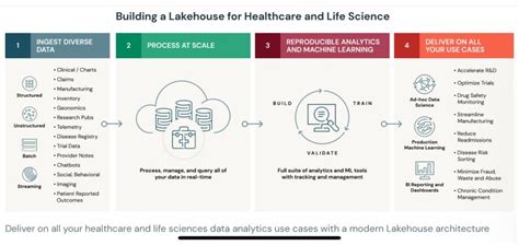 Tamilselvan Palani On Linkedin Lakehouse Healthcare Lifescience