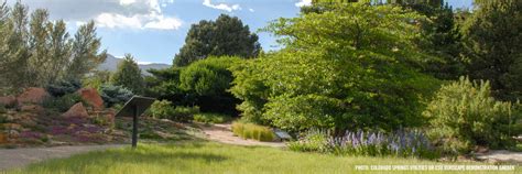 Colorado Springs Lawn Care Tree Service In Colorado Springs Lawn