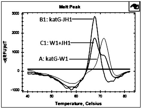 Reagent Kit And Method For Detecting M Tuberculosis Isoniazide Drug Tolerance Mutation Gene