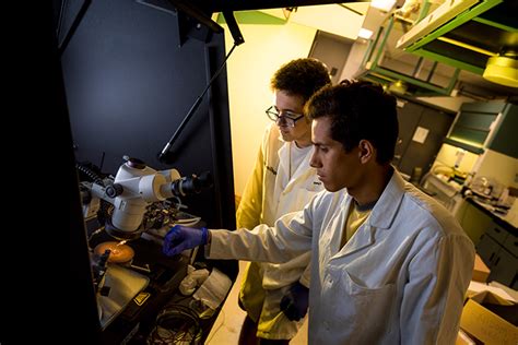 Uc San Diego Engineering Undergrads Get Hands On Lab Experience In The Summertime