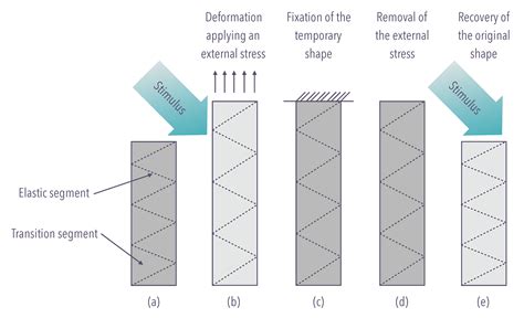 Shape Memory Polymers In Dentistry Encyclopedia MDPI