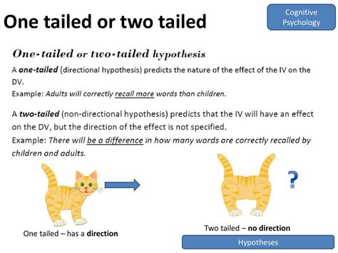 What Is A Two Tailed Test Definition And Example 43 OFF