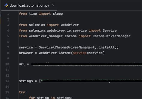 Softwaredevelopment Bruno Falcão
