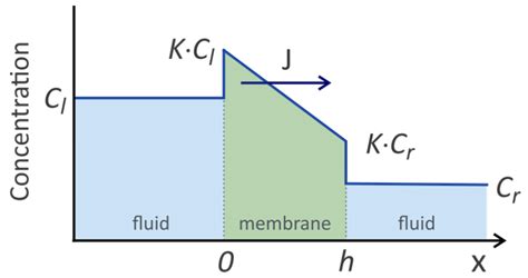 78 Membrane Diffusion Chemistry Libretexts
