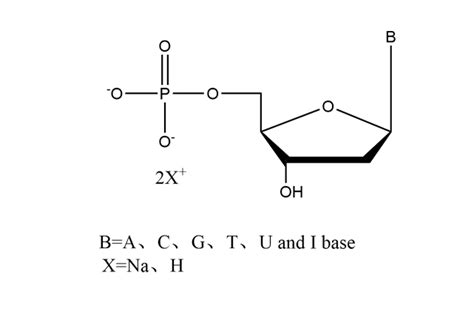 Dnmp Suppliermanufacturer Deoxyribonucleoside Monophosphate