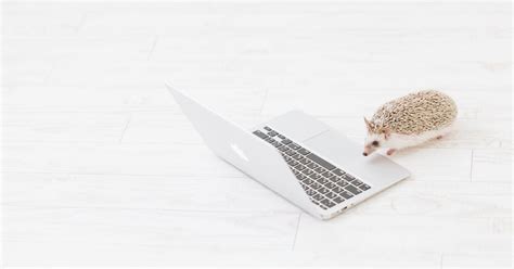 pro cobolをoracle12cに移行する場合の注意点 火消しに行って油を注ぐ