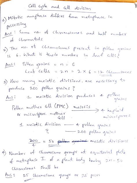 Cell Cycle Question Pdf